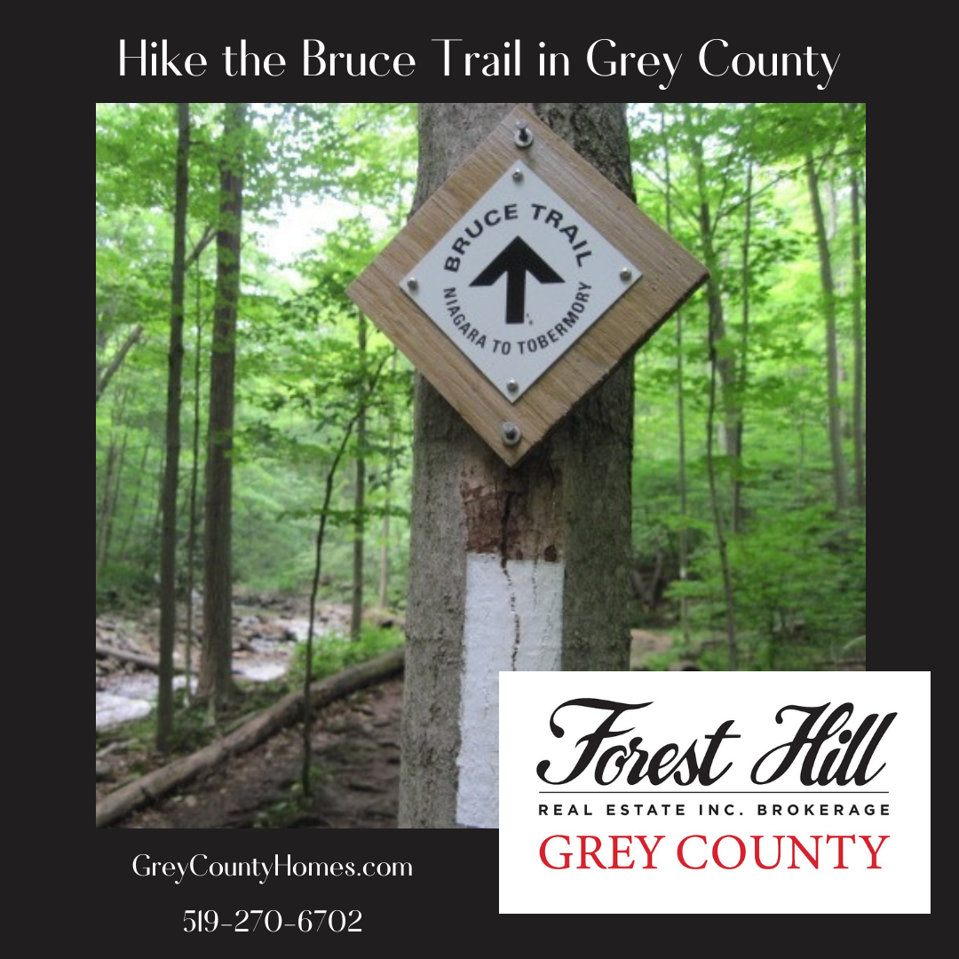 Hike the Bruce Trail in Grey County - Mark Murakami REALTOR®