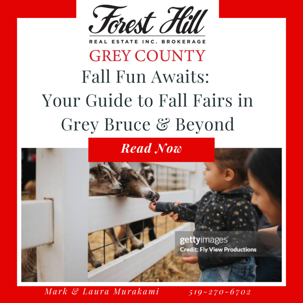 Fall Fun Awaits: Your Guide to Fall Fairs in Grey Bruce & Beyond - Mark ...